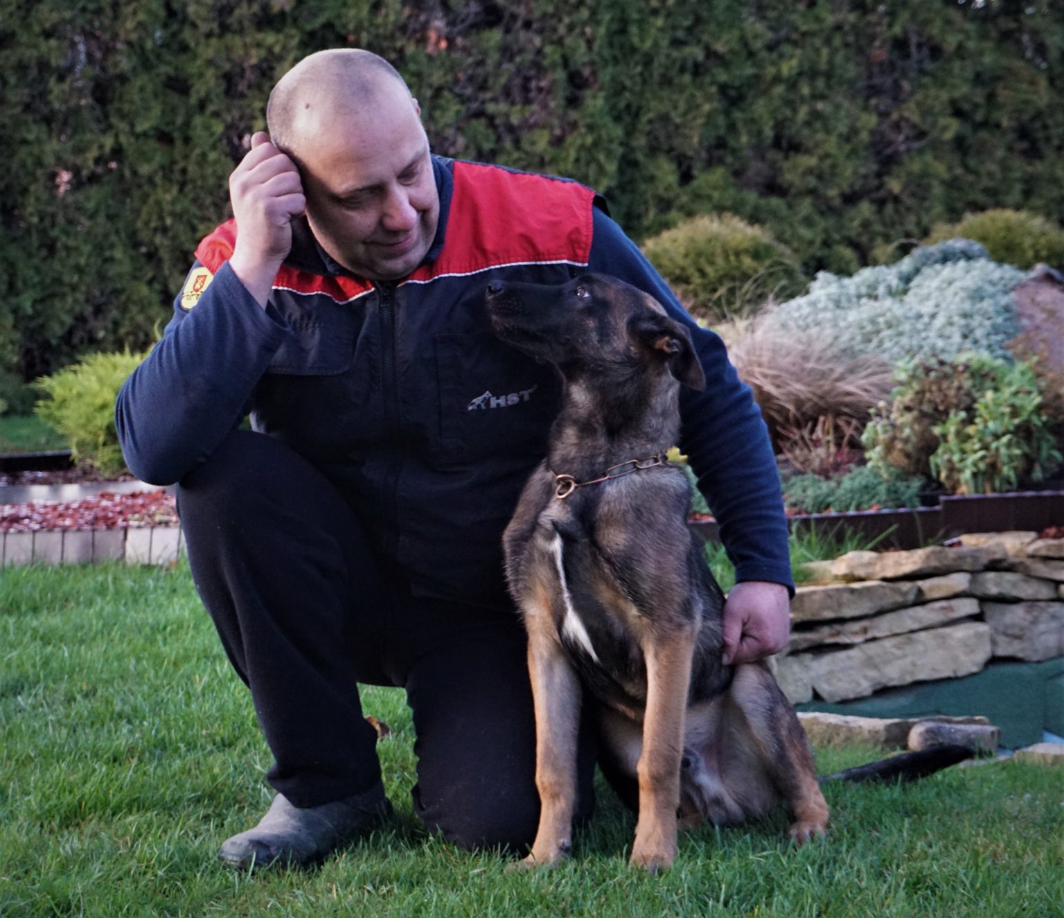 Dresūra – Vilkolakis